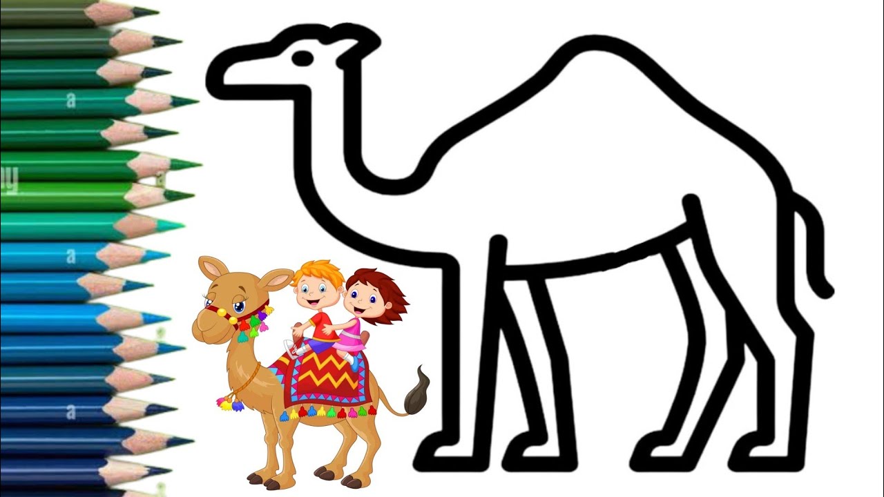 Drawings Of Desert Animals Desert Animals Coloring Pages In PDF