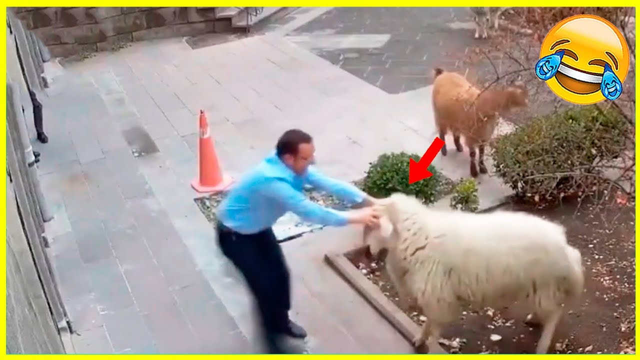 Funny Fails Videos Compilation 🤣 Pranks - Amazing Stunts - By Chu Chu 🍿 ...