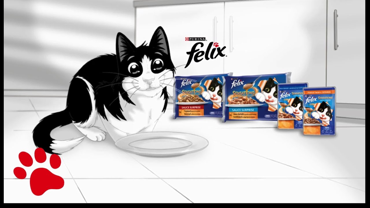 FELIX Sensations Sauce Surprise reklám - YouTube