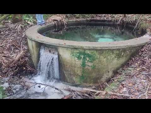 The Famously Un-Famous Ginger Ale Springs in Longwood Florida - YouTube
