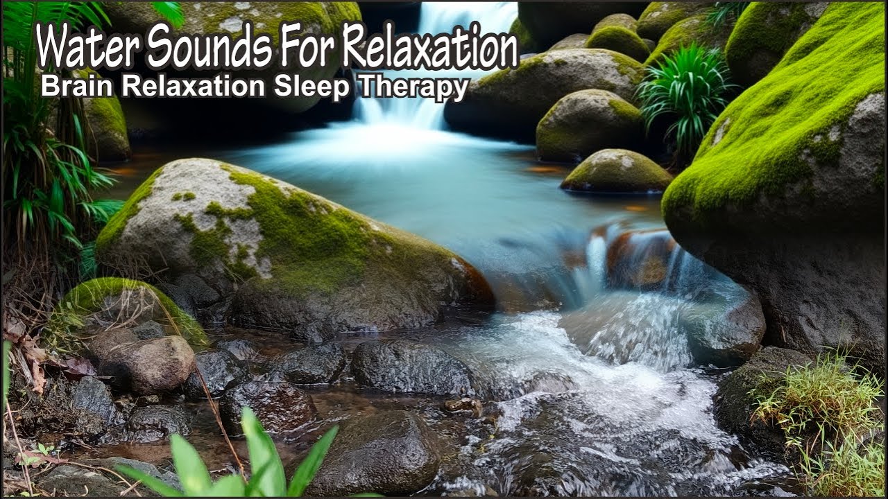 Sound of water on the river bank for sleep relaxation‼️Suara Air Untuk ...