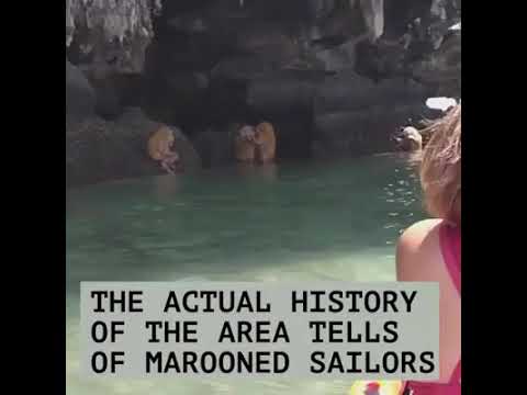 Alleged Deformed Monkeys - YouTube