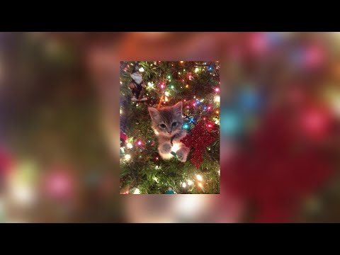🎄𝐼𝓉'𝓈  𝒯𝒾𝓂𝑒 ☃️~ A Christmas Playlist 🎁