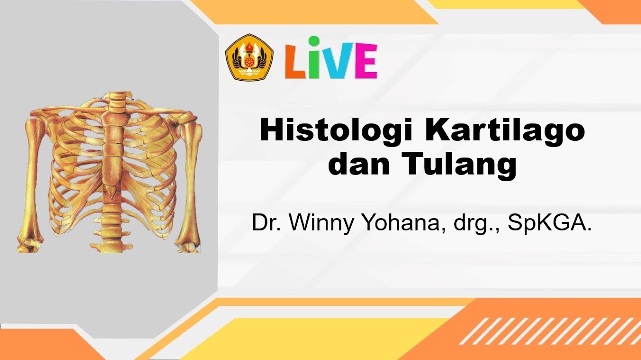 Histologi-Tulang dan Kartilago - YouTube