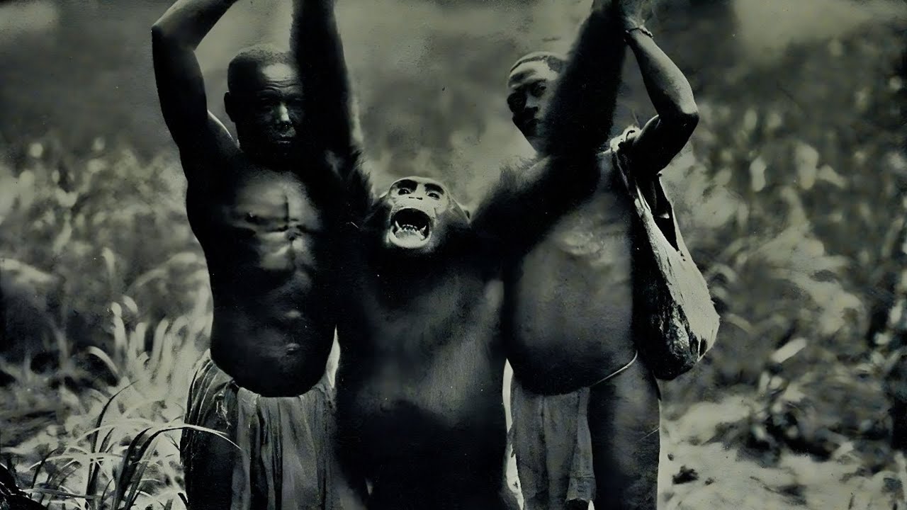 11 cosas extrañas encontradas en África - YouTube