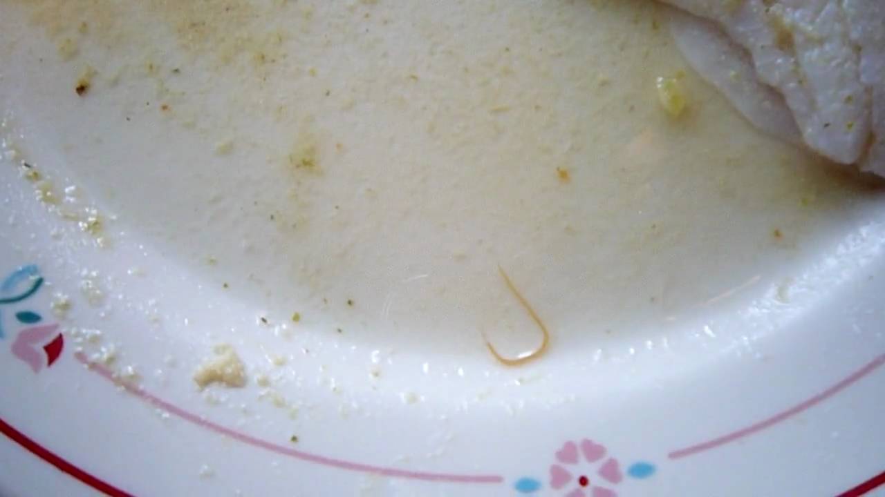 Parasite in Fresh Fish - 1 of 2 - YouTube