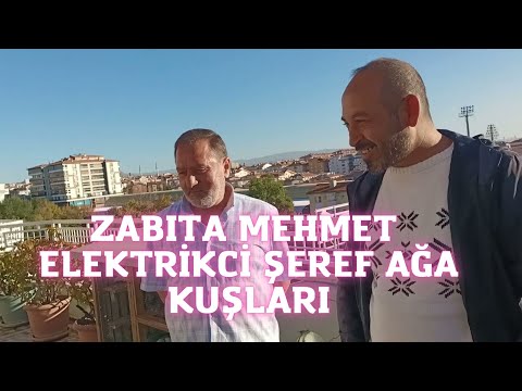 Zabıta Mehmet & Elektrikci Şeref Ağa Kuşları