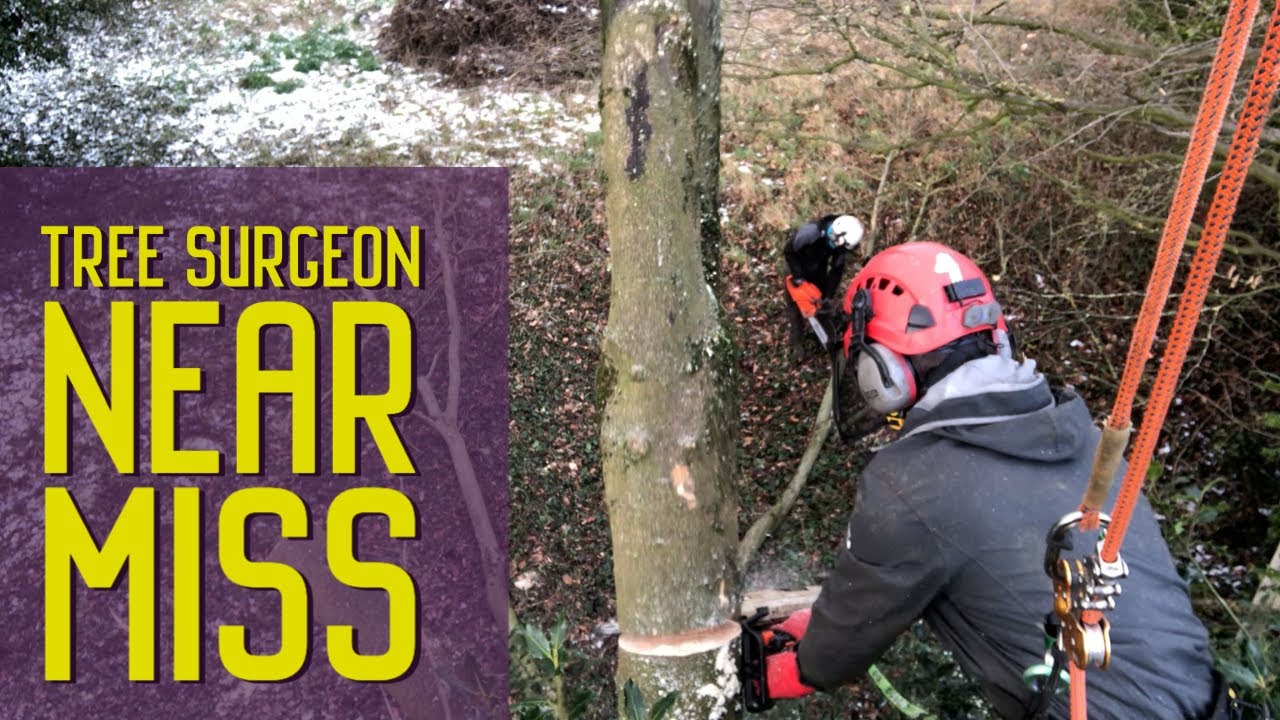 Tree Surgeon near miss with ground worker | Dangerous job | Arborist ...