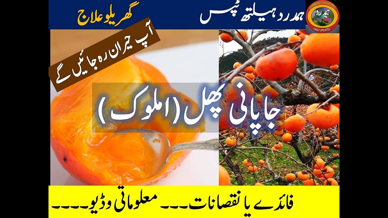 Benefits of Persimmon Fruit | Japani Phal Se Wazan Kese Kam Karen ...