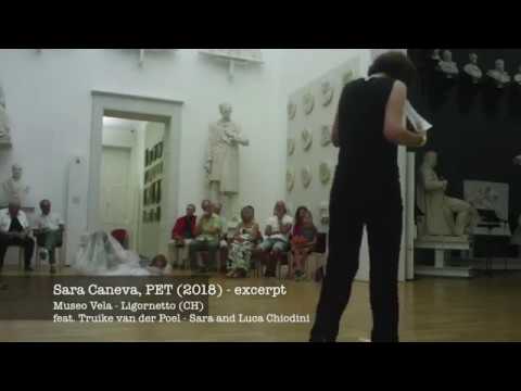 PET (2018) - excerpt