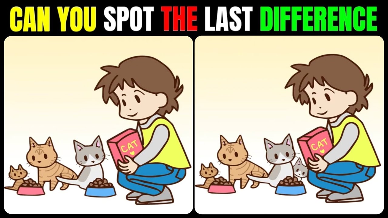 Find the 3 Differences in 90 Seconds | Little Hard to Find All [ Find ...