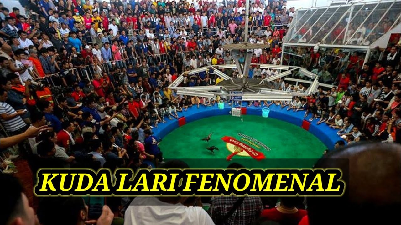 Arena luas memang support penuh. untuk jenis 4y4m kud4 lari - YouTube