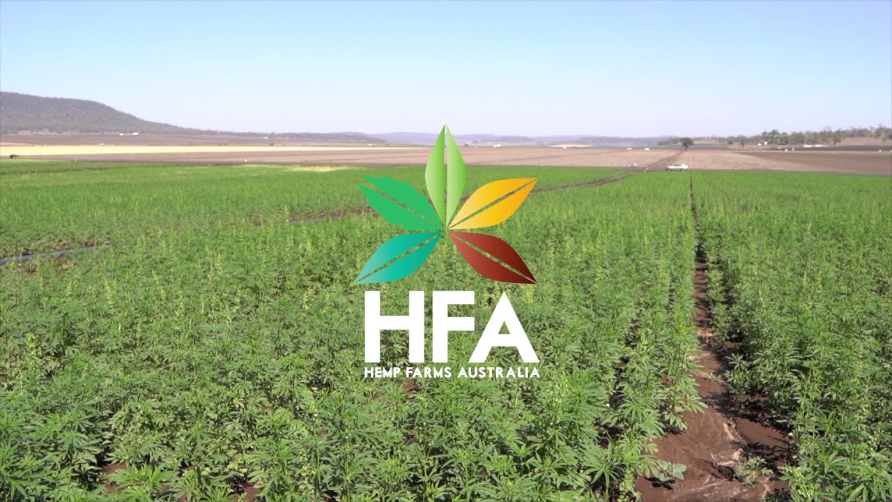 Breeding with Success - Hemp Farms Australia - YouTube