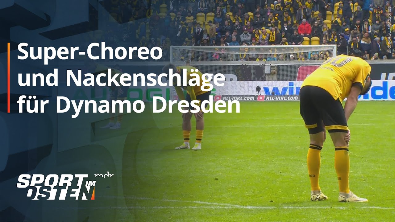 Dynamo Dresden vs. Viktoria Köln – Super-Choreo und Horror-Tore | Sport ...