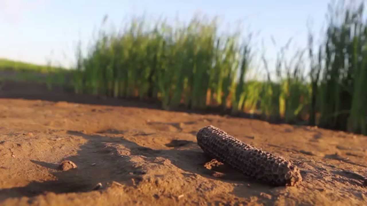 A River Runs Through Them: Nebraska, Colorado, Kansas and the ...