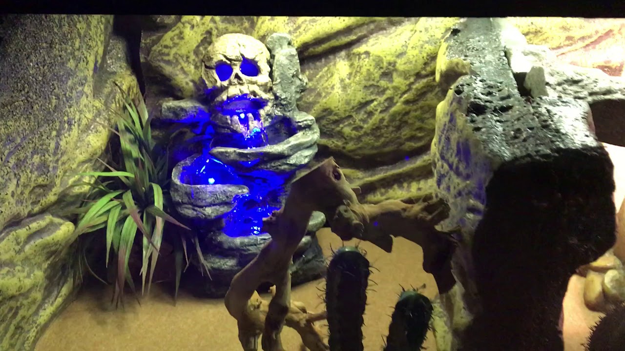 ZooMed Skull LED Waterfall - YouTube