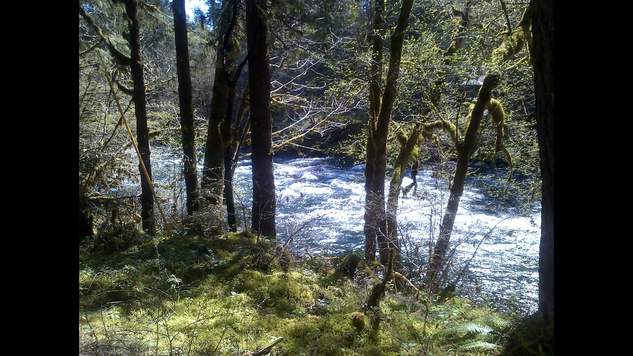 Lost Without a Trace - Synopsis by Michelle Grogan - YouTube