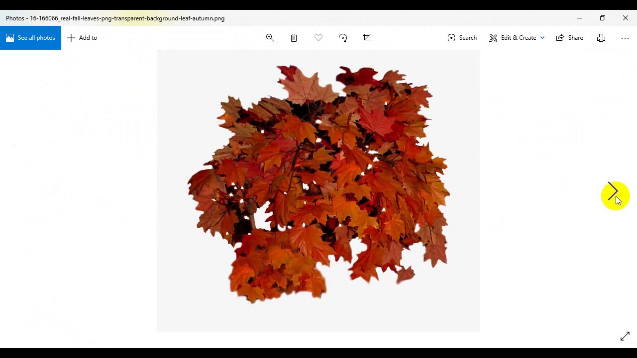 tree texturing with opacity class 12 02 2020 - YouTube