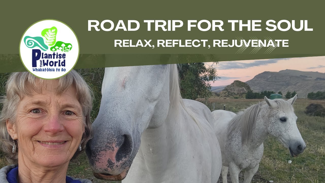 ROAD TRIP FOR THE SOUL: Relax, Reflect, Rejuvenate - YouTube