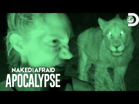 Survivalists Face Lions in the Dead of Night! | Naked and Afraid: Apocalypse | Discovery