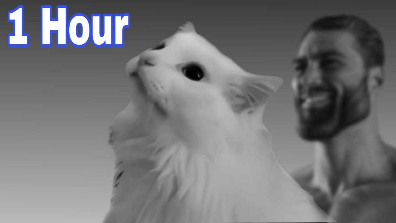 Cat MEOW but GigaChad Cat - 1 Hour Version - YouTube