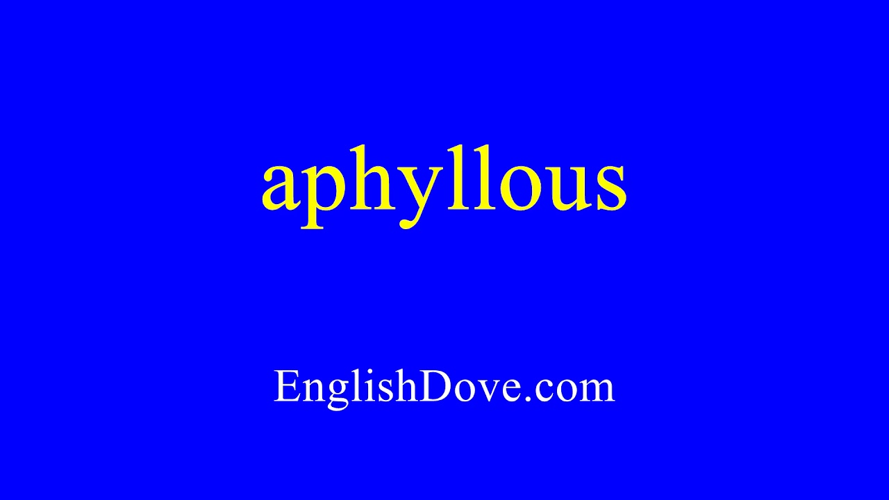 How to pronounce aphyllous in American English. - YouTube