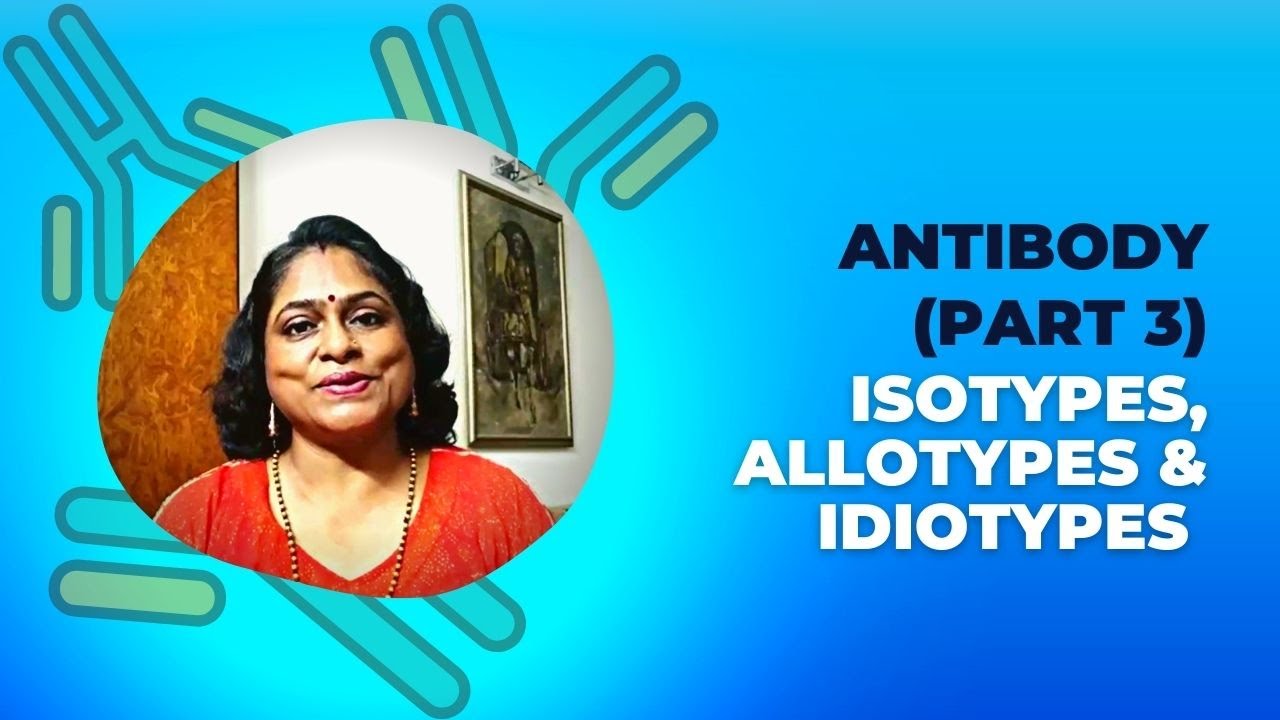 Antibodies (Part 3): Isotypic, Allotypic & Idiotypic Determinants of ...