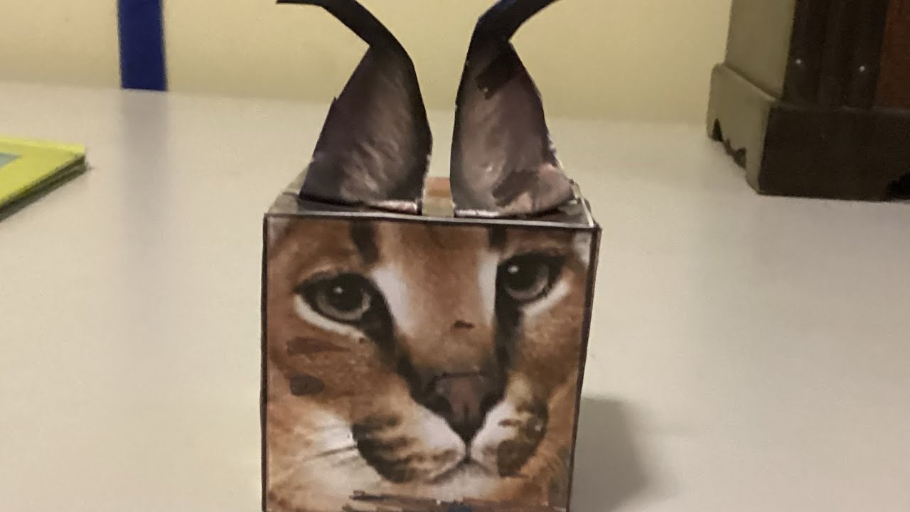 floppa cube - YouTube