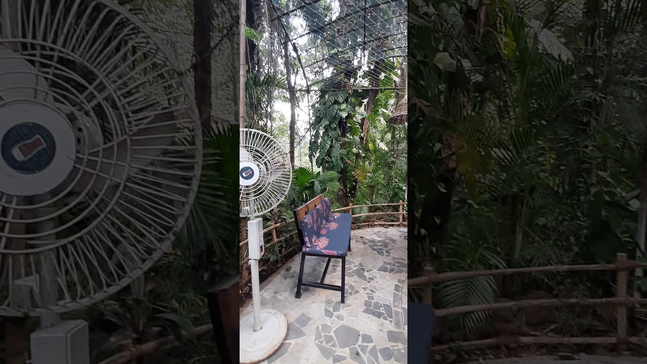 gunpowder goa, must visit restaurant in goa, walk through, goa's famous ...