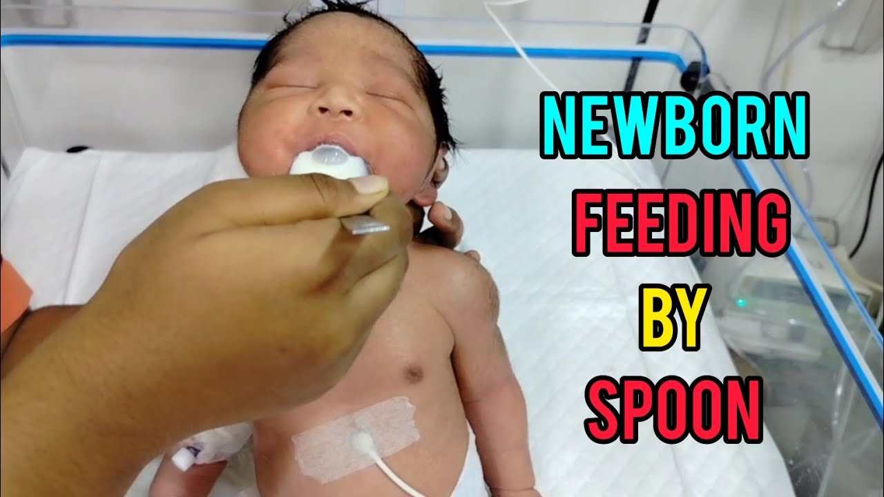Spoon Feeding For Neonate/Newborn | How To Feed Newborn With Spoon | Newborn Feeding | # ...