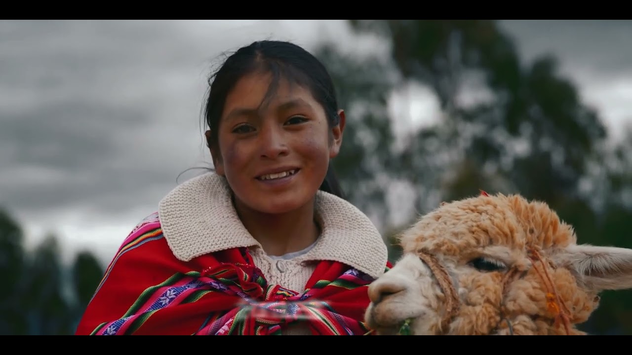 Ven, Compañero - Rigo López ( Video clip oficial) - YouTube