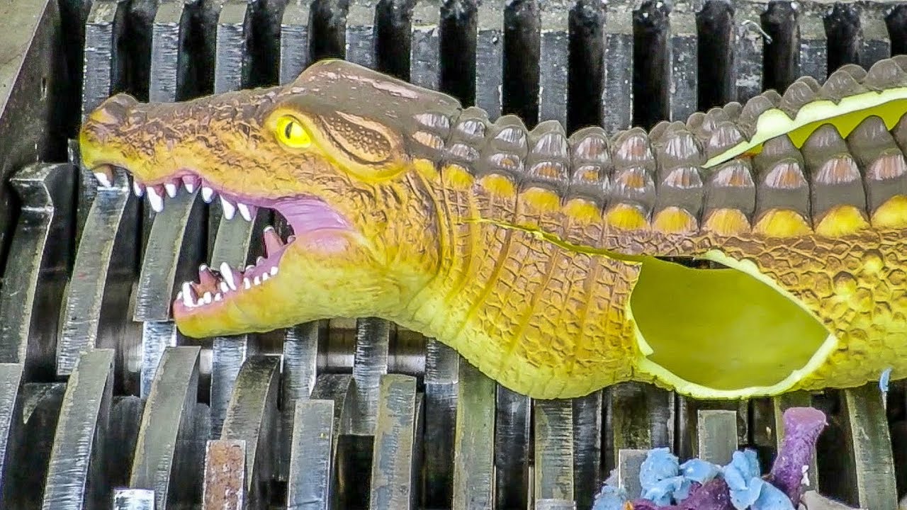 Shredding a Crocodile! Stretchy Jungle Animals Shredded! What's Inside ...