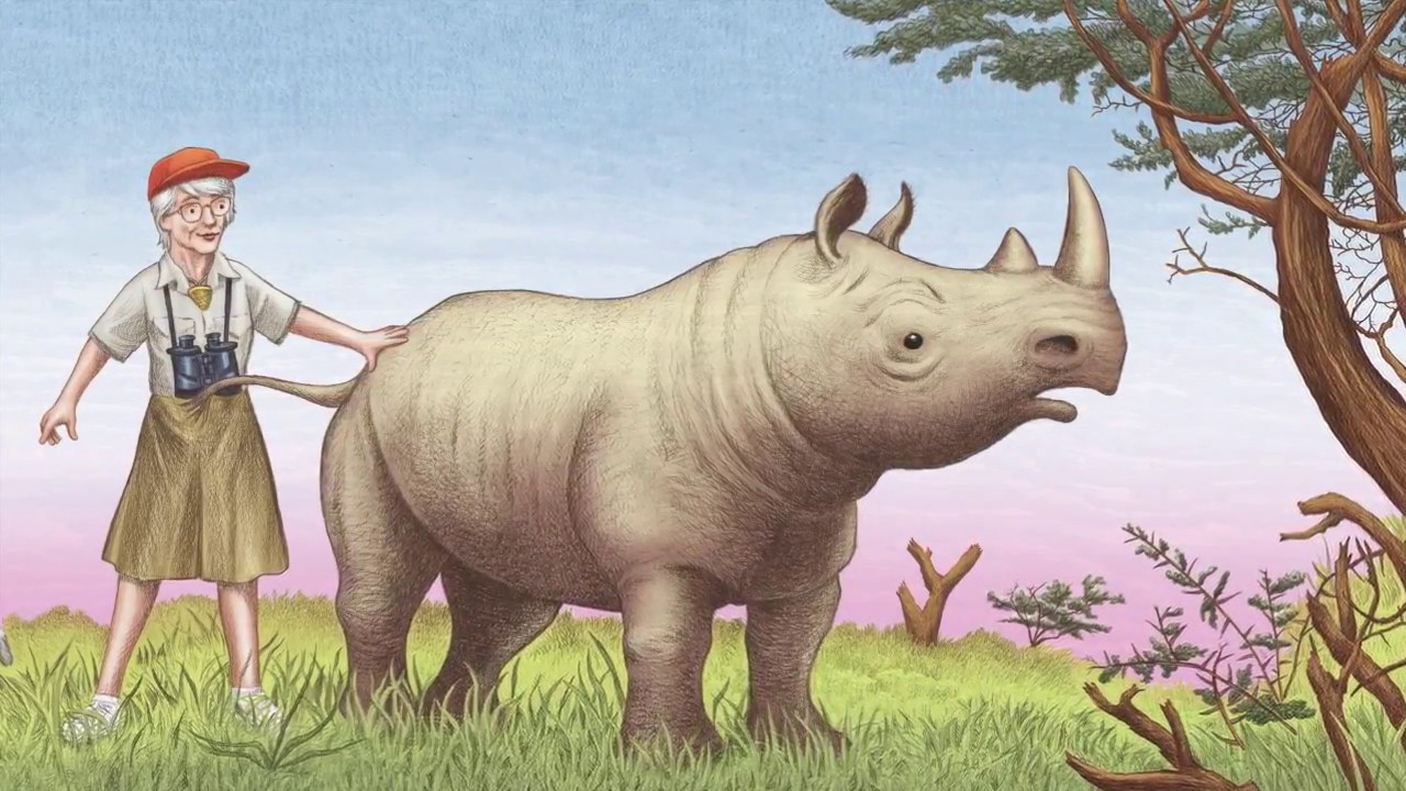 RHINO IN THE HOUSE by Daniel Kirk Trailer - YouTube