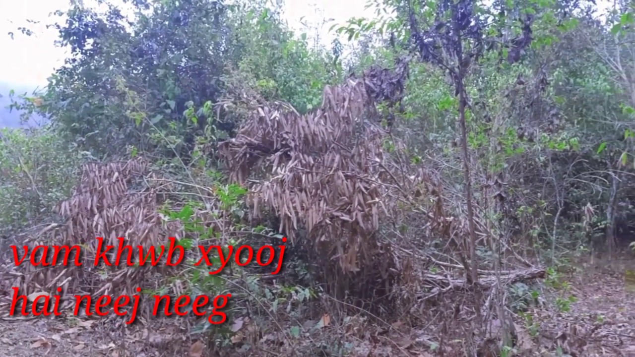 hmoob yaj deev hmoob yaj - YouTube