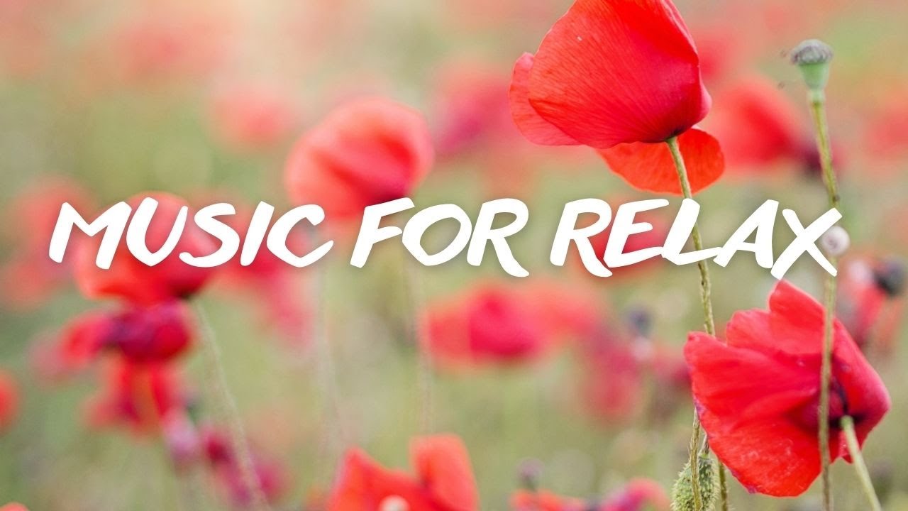 CALM MUSIC FOR RELAX AND STRESS RELIEF. Meditation Music, Sleep Music ...