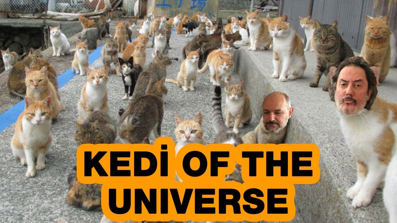KEDİ OF THE UNIVERSE - YouTube