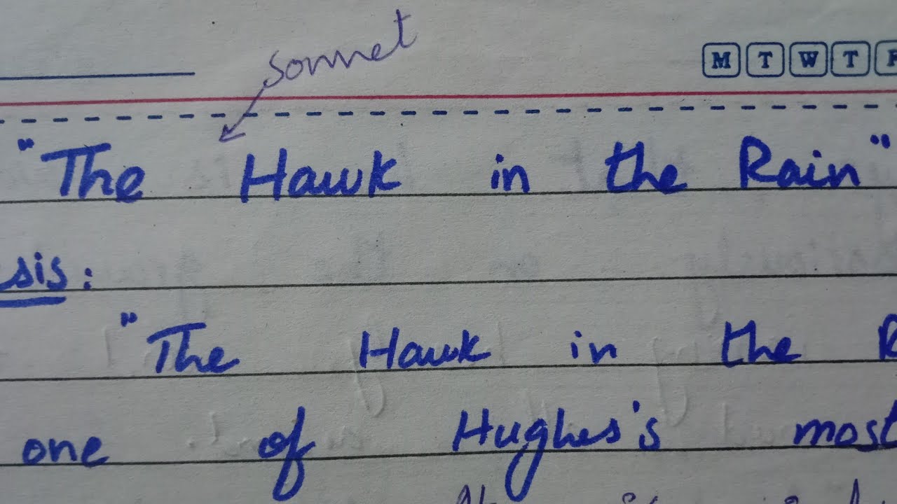 The Hawk in the Rain by Ted Hughes| full critical analysis| critical ...