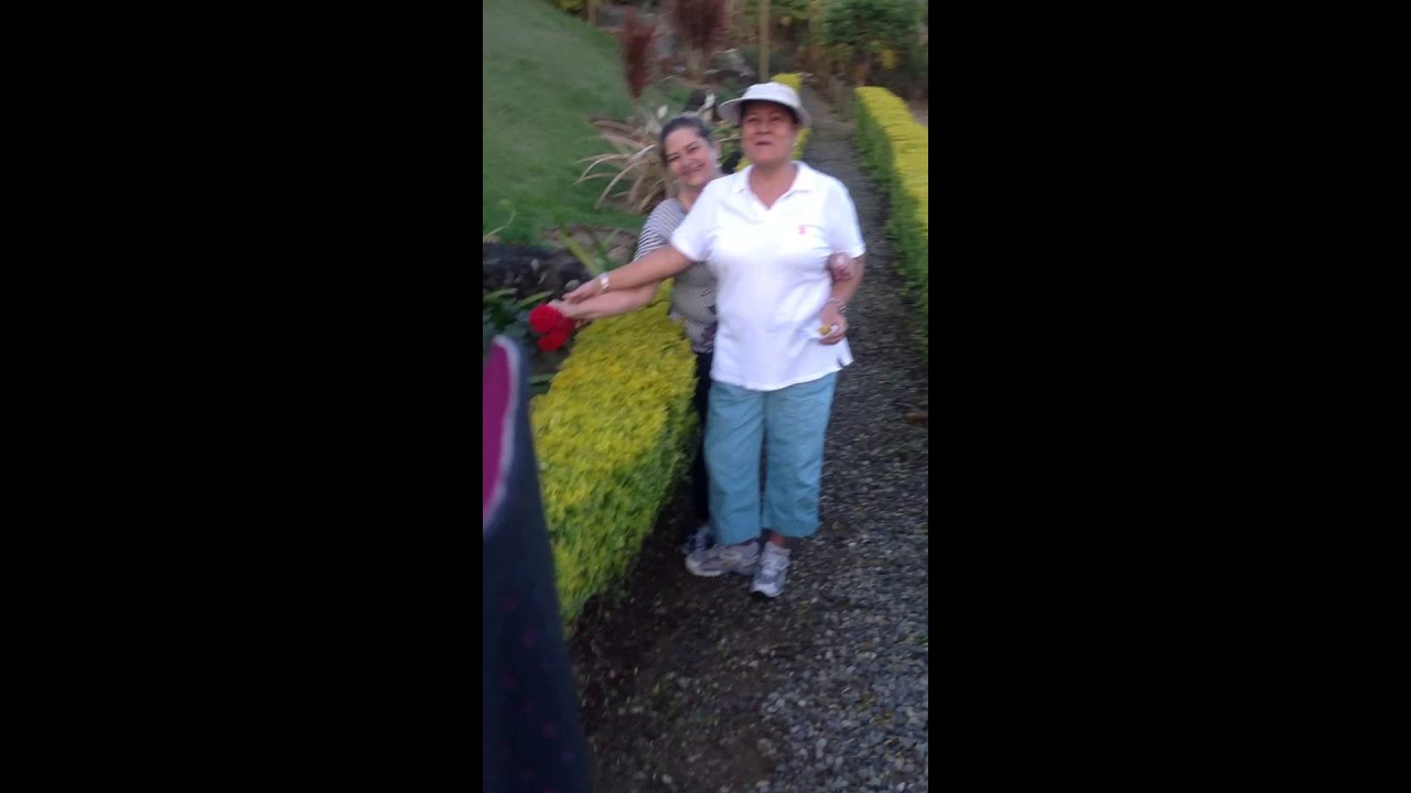 YouTube en español - YouTube