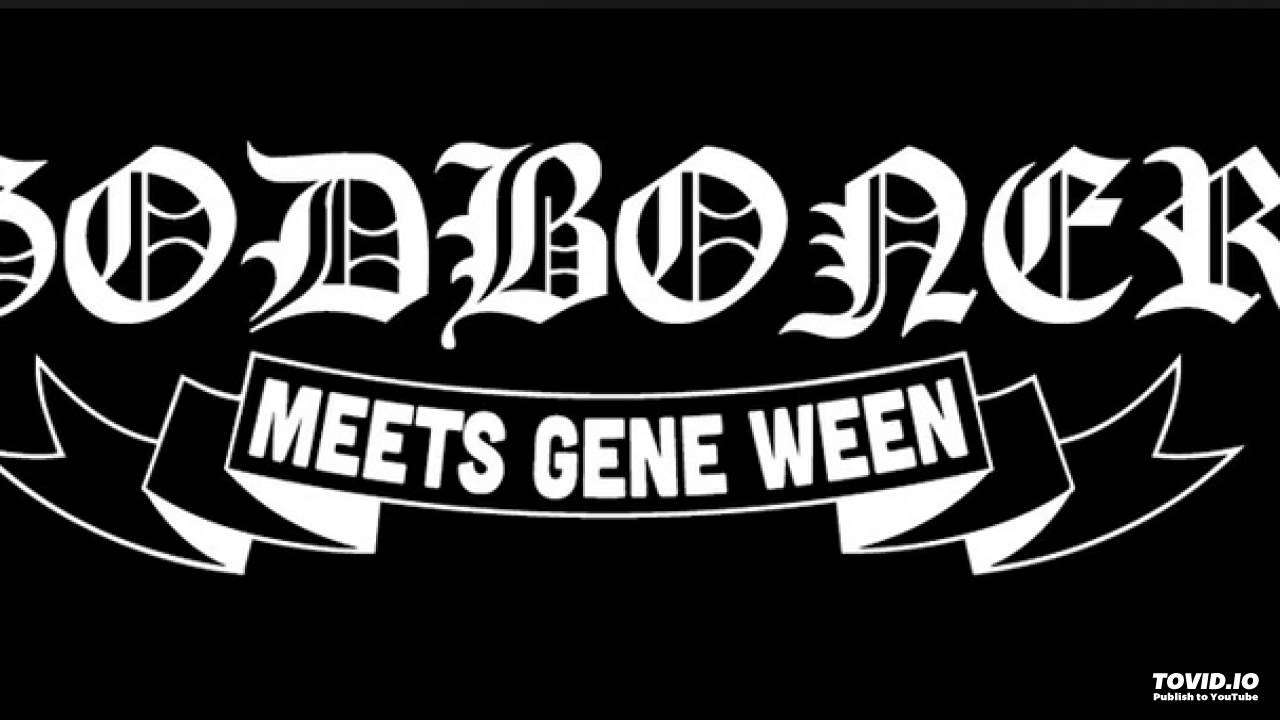 Godboner (gene) summercamp 2015 - Goonville - YouTube