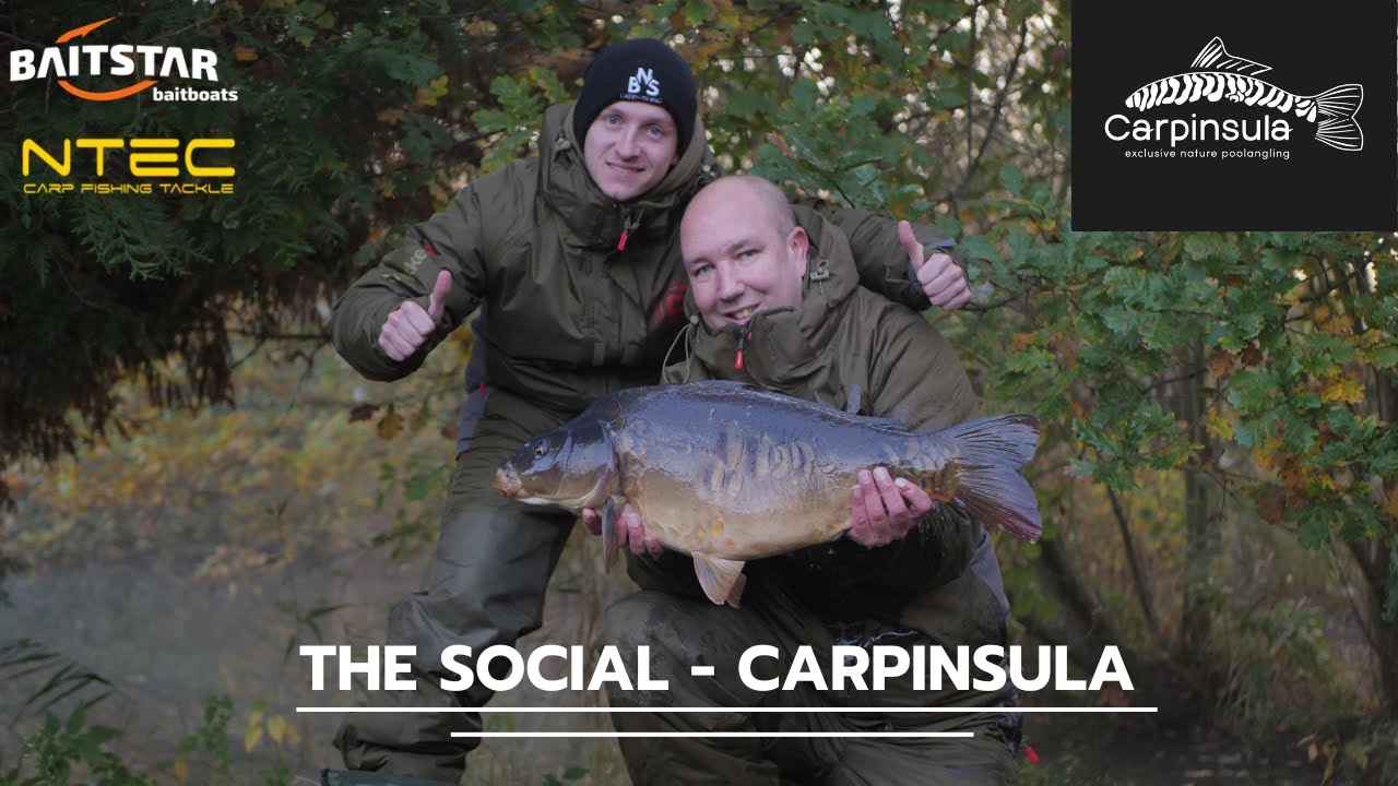 THE SOCIAL - CARPINSULA - YouTube