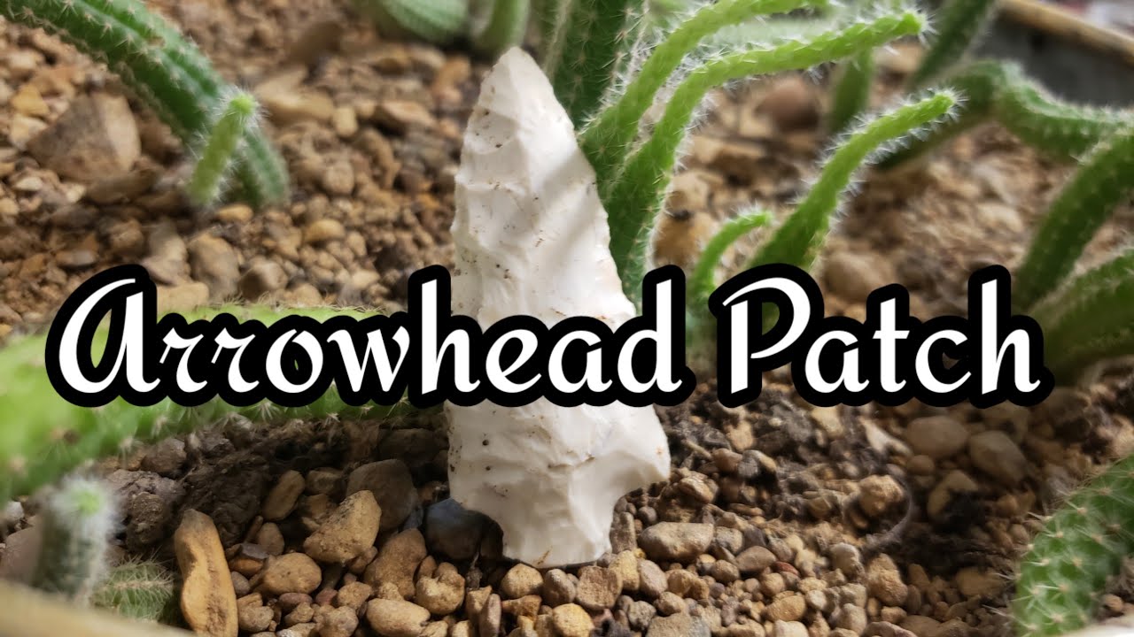 Arrowhead Hunting Kentucky / Arrowhead Patch !!!!🔥 - YouTube