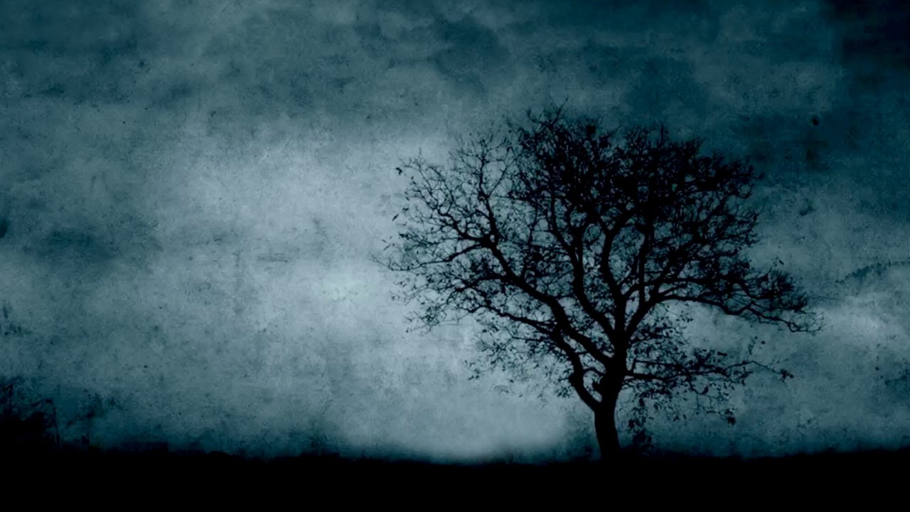 Peace Serenity Extended YouTube peace-serenity-extended-youtube