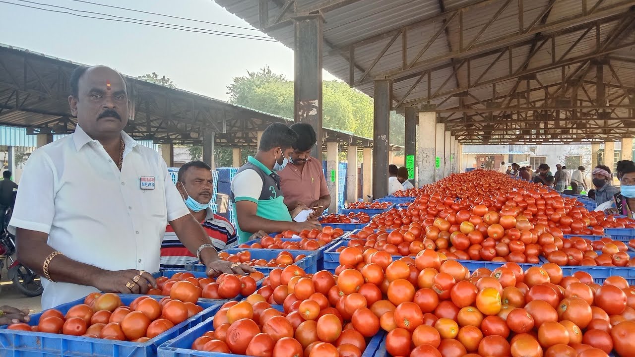 20-01-2022 #VADDAHALLI TOMATO MANDI AUCTION TODAY AT NRS TOMATO MANDI ...