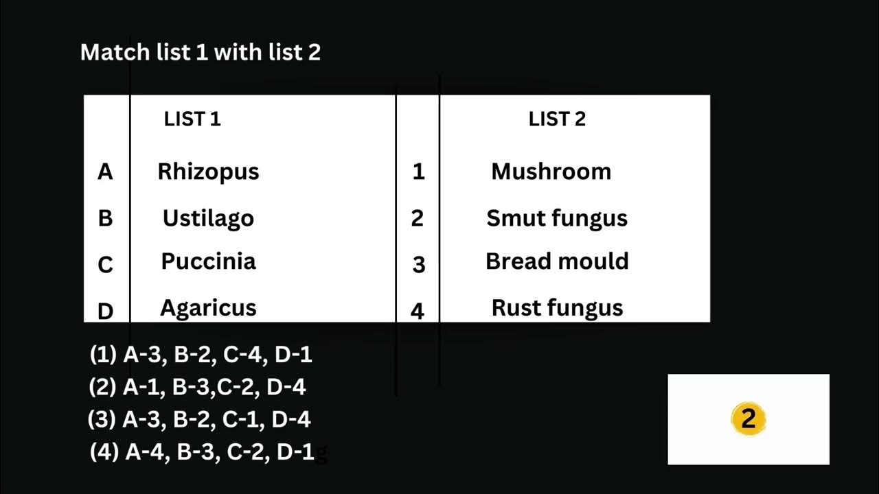 BIOLOGICAL CLASSIFICATION 2024 NEET QUESTION - YouTube