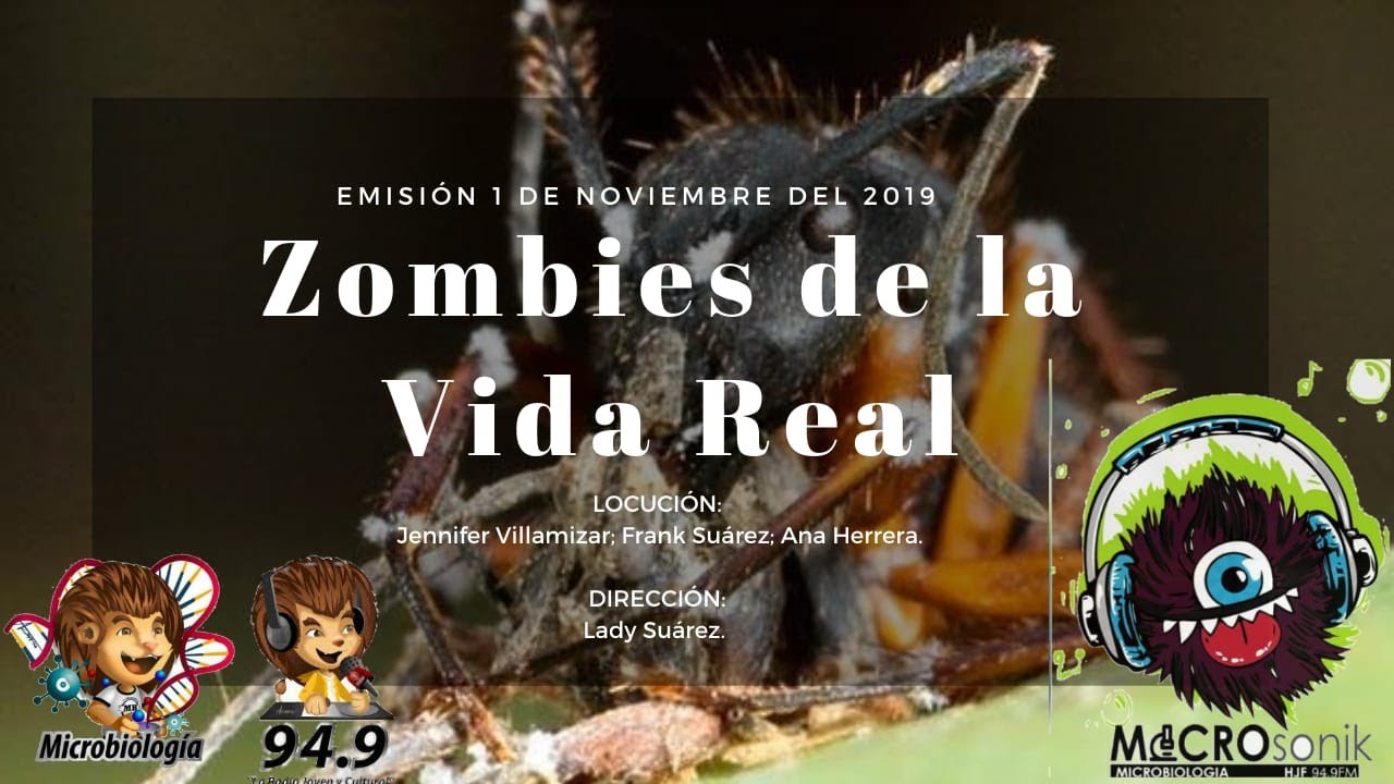 Zombie de la vida Real - YouTube
