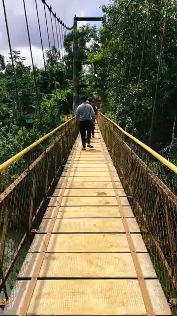 Kalasa Hanging Bridge | Ambaa Teertha #kalasa #nature #chikkamagaluru # ...