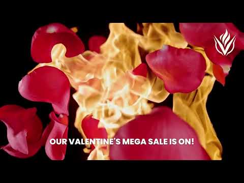 Vigor Labs Mega Valentine's Sale 2022