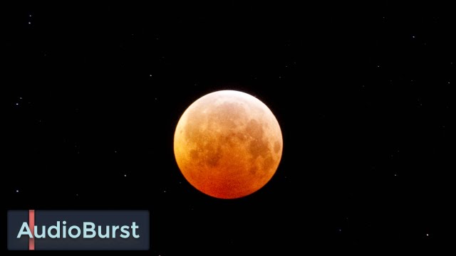 The 8-Foot Tall Creatures In The Woods That Changed This Researcher's ...