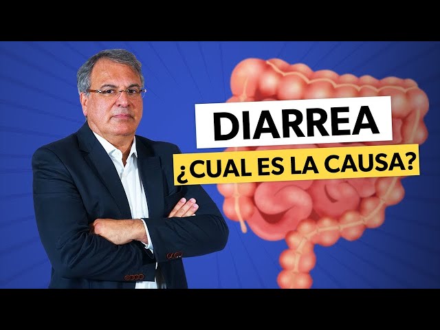 Diarrea con sangre: 7 causas y qué hacer - Tua Saúde