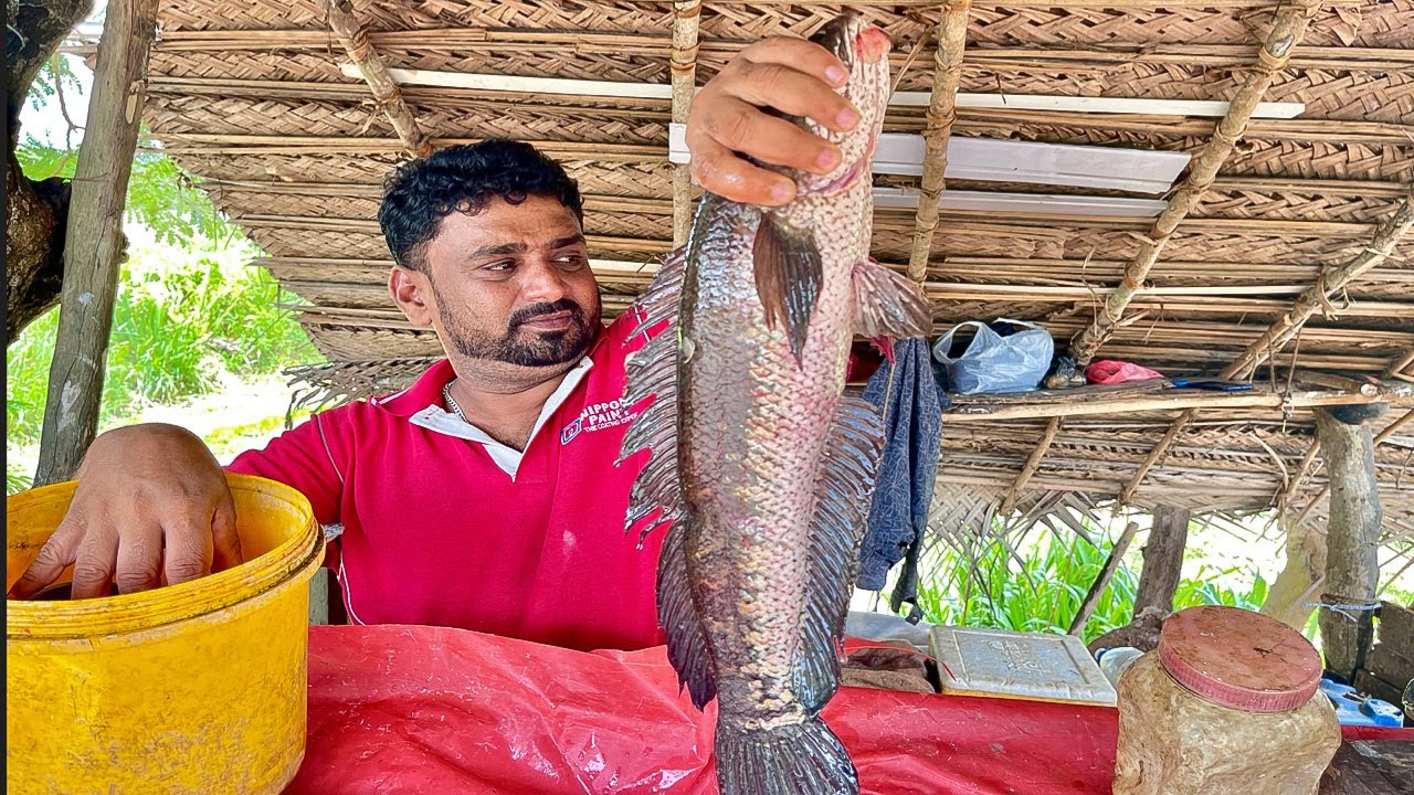 Amazing!! Big Snakehead Fish Cleaning Skills by Speed Fish Cutter Live ...